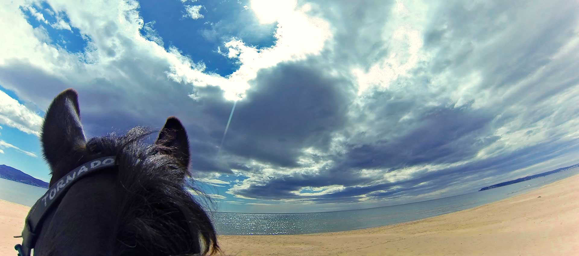 Horse Riding Holidays in Spain - Panorama-Trails